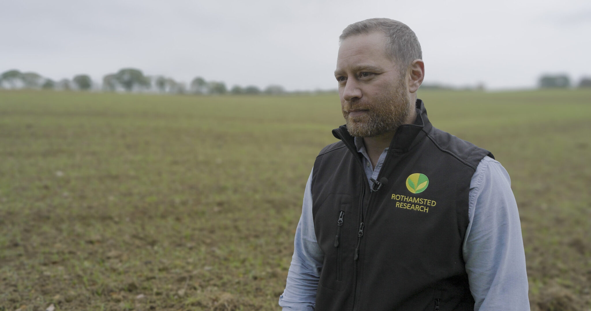 About - World Without Cows