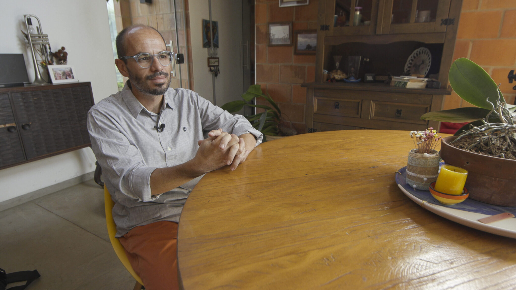 About - World Without Cows