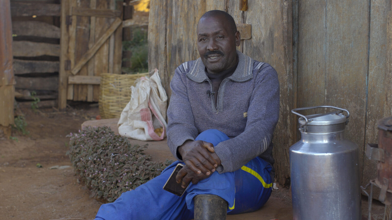 About - World Without Cows