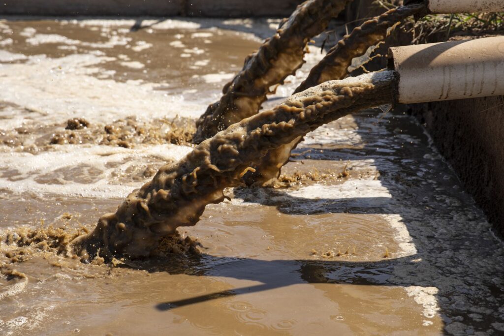 Biodigesters: From waste to watts - World Without Cows