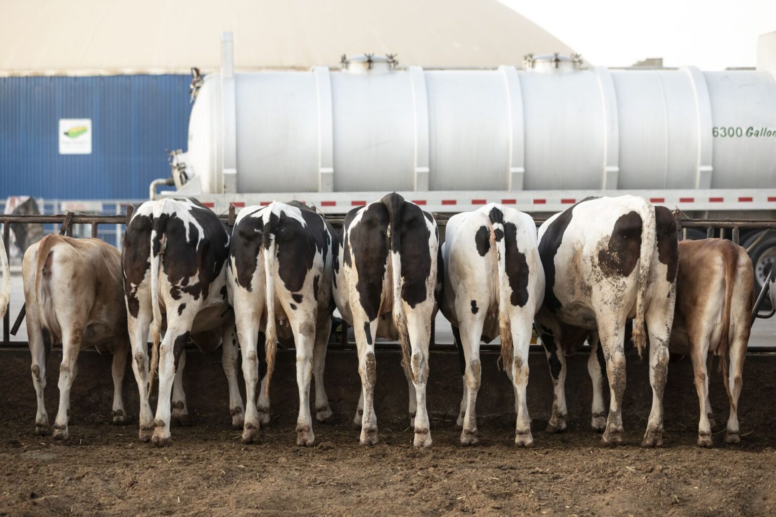 Explore - World Without Cows