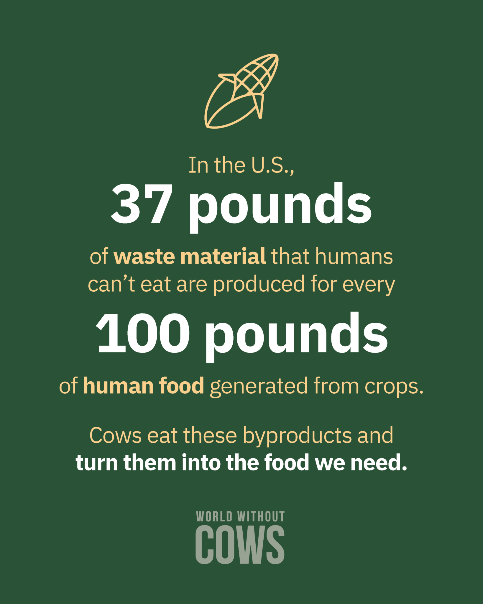 Nature’s upcyclers: How cows transform waste into the food we need ...