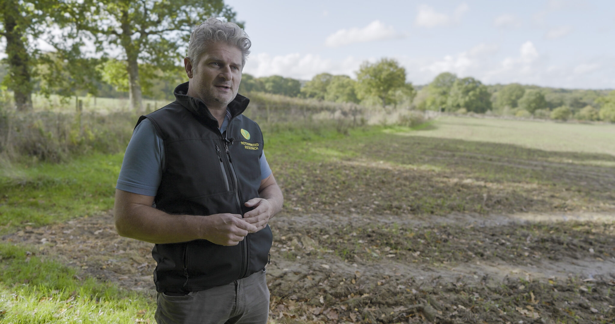 Grazing or growing: Rethinking the role of cows and marginal land ...