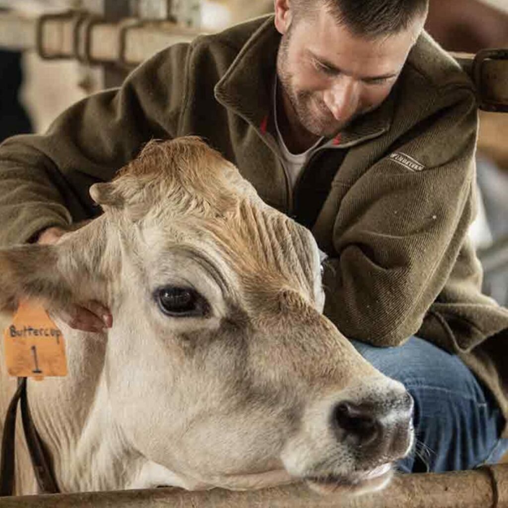 Paul’s story: From childhood dream to high-tech dairy - World Without Cows