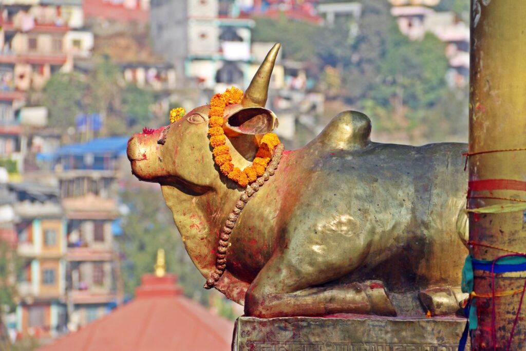 The cow as mother: From Gau Mata to global symbols of care - World ...