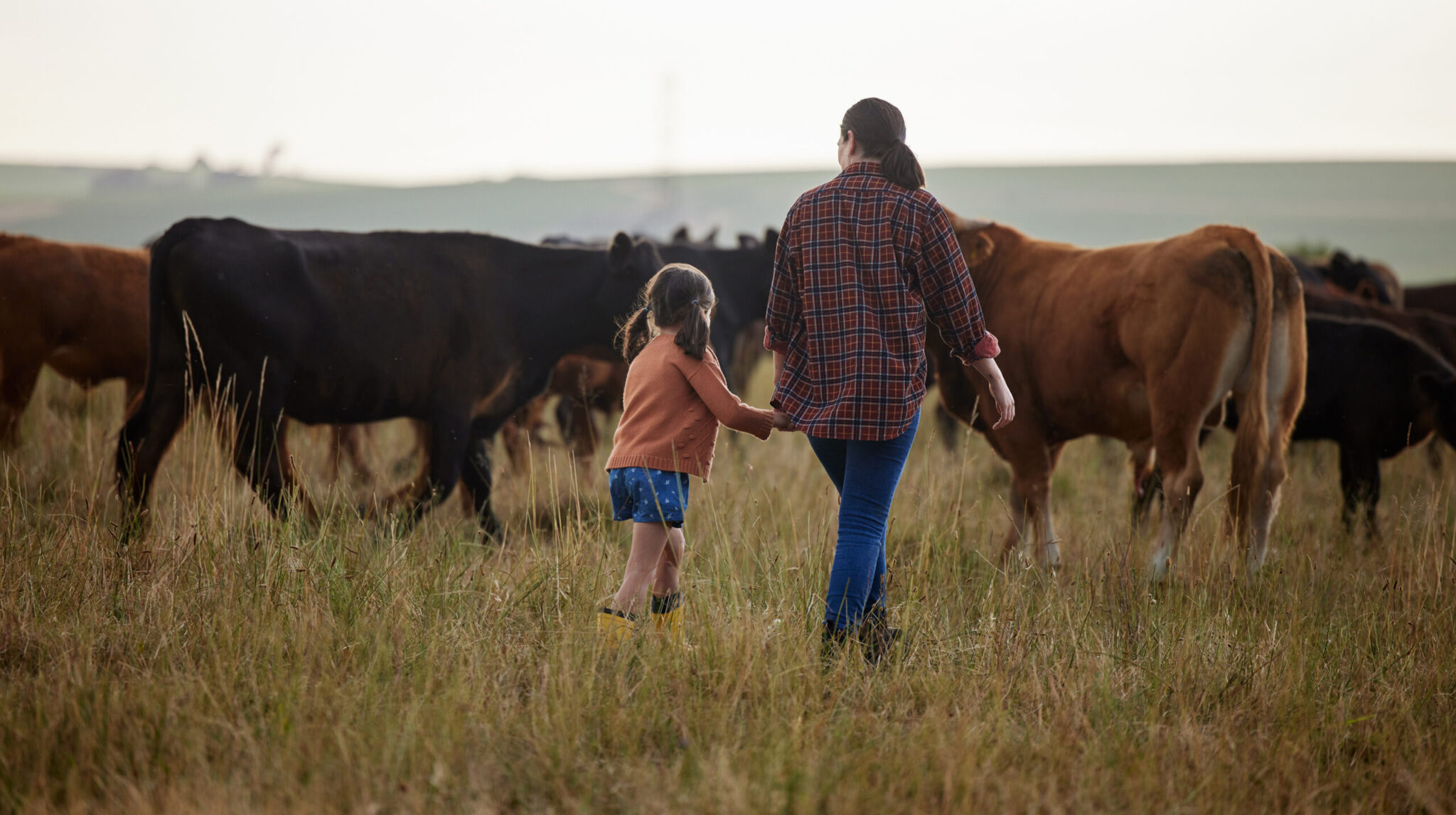The cow as mother: From Gau Mata to global symbols of care - World ...