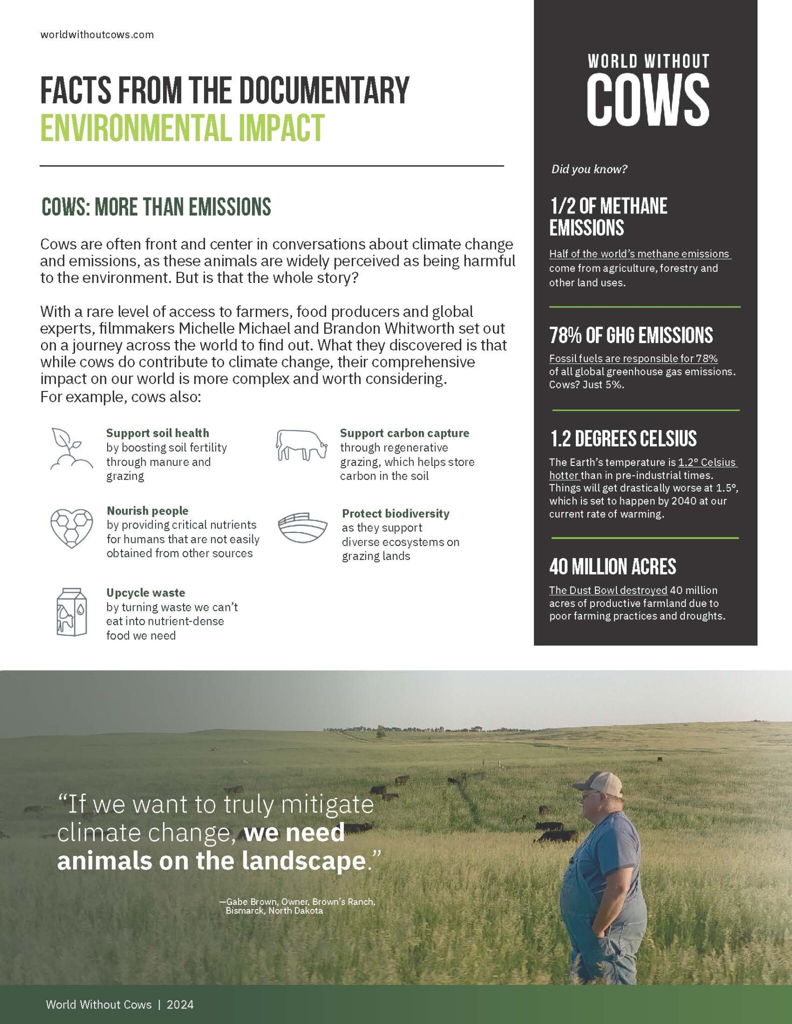 Cows and climate: Facts from the documentary - World Without Cows