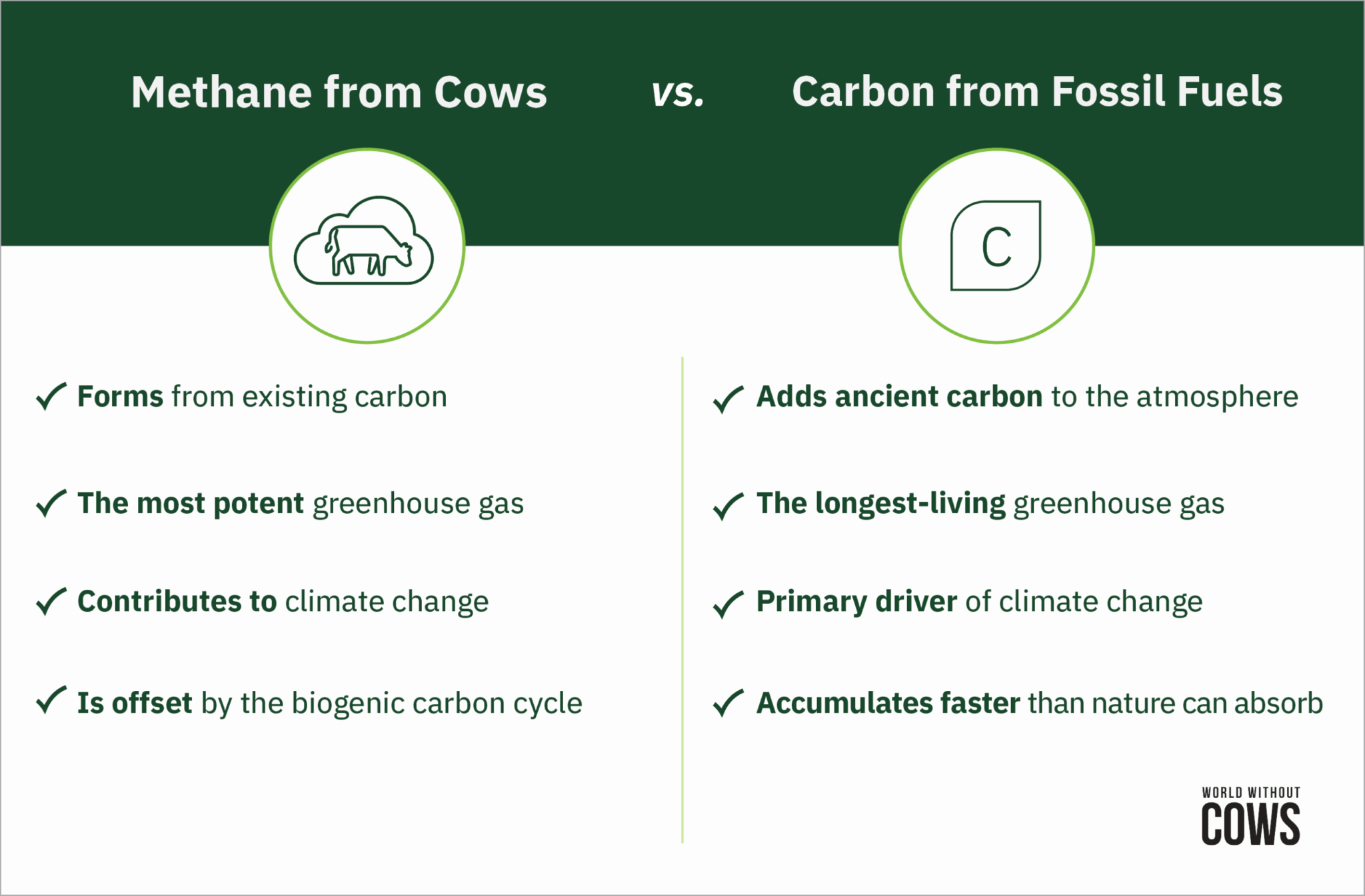 Cattle, greenhouse gases and the case for better methane metrics ...